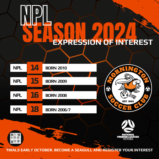 NPL Season 2024 MORNINGTON SOCCER CLUB