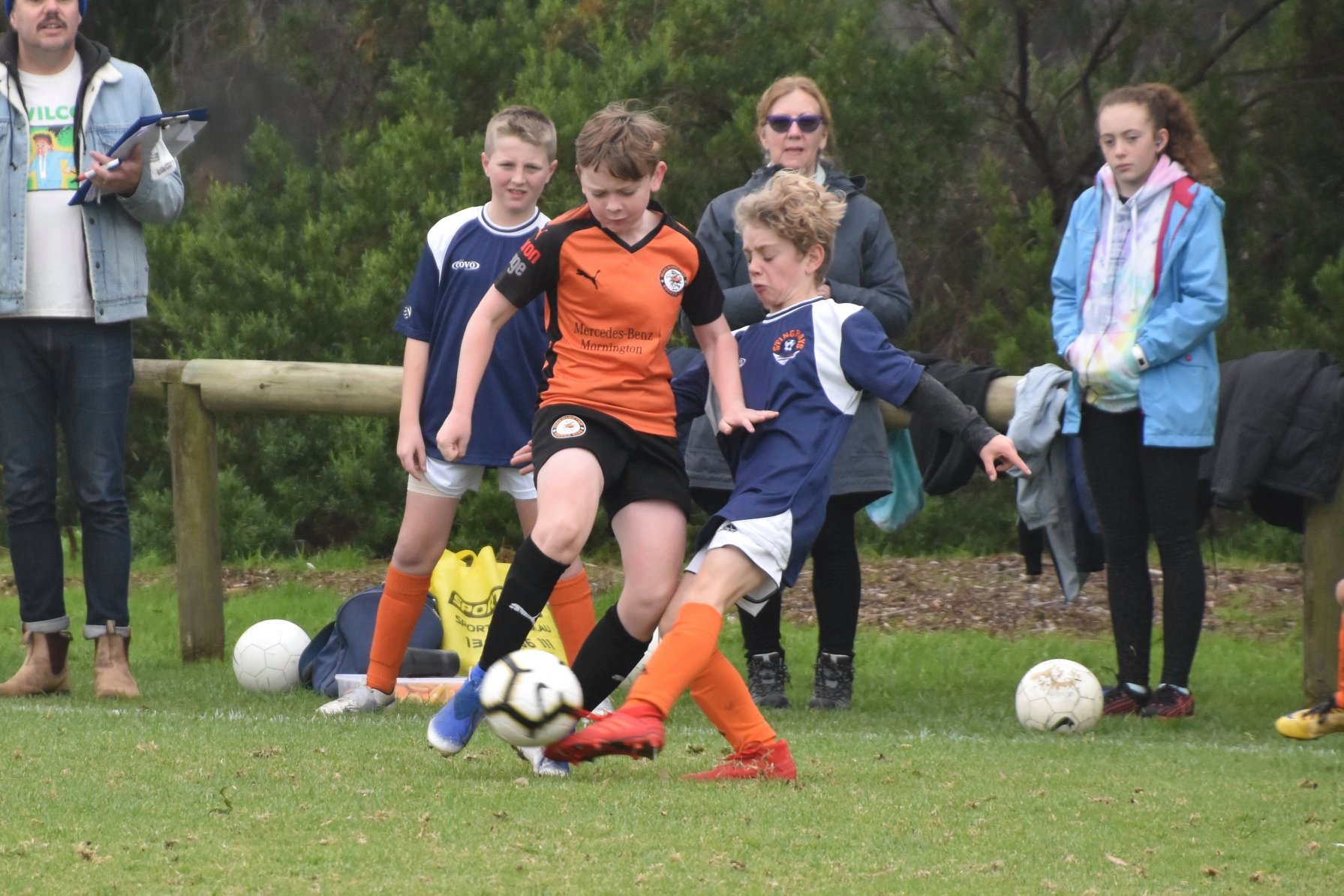 Teams - MORNINGTON SOCCER CLUB